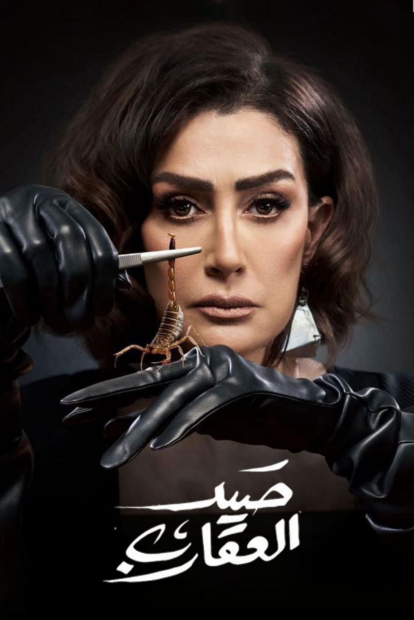 Watch Arabic TV Channels Online in the USA | Sling